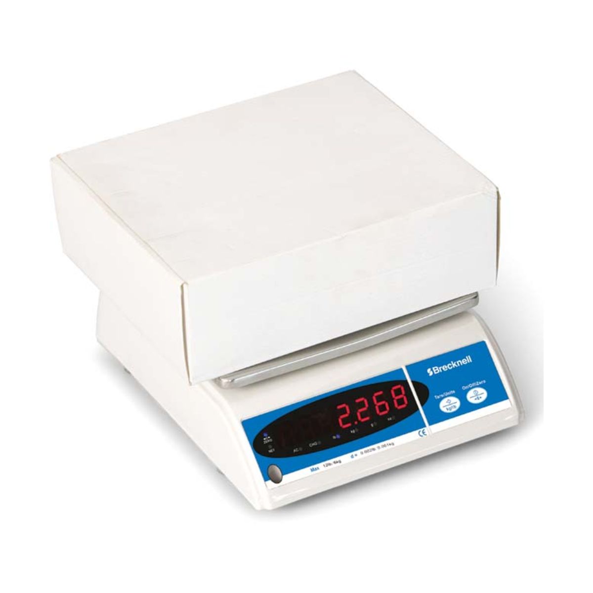 Salter Brecknell WS300 Platform Scales 300kg Capacity