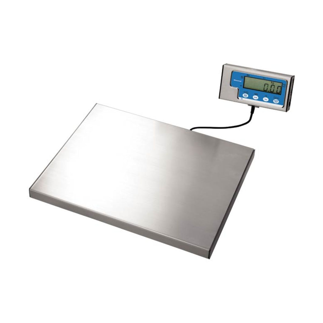 Salter Brecknell GP100 and GP250 Bench Scales